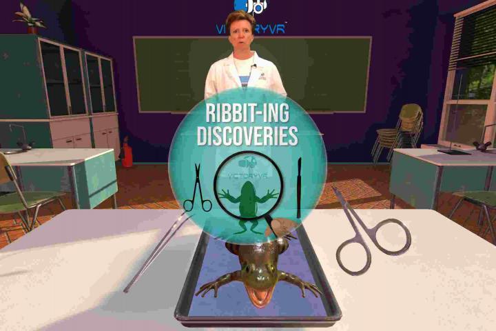 Oculus Quest 游戏《Dissection Simulator Frog Edition》解刨学：解剖青蛙 – 妖气VR魔趣官网